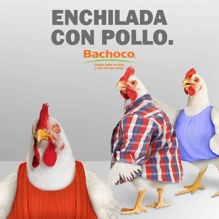 Publicidad de Bachoco: por qué su estrategia conecta con México